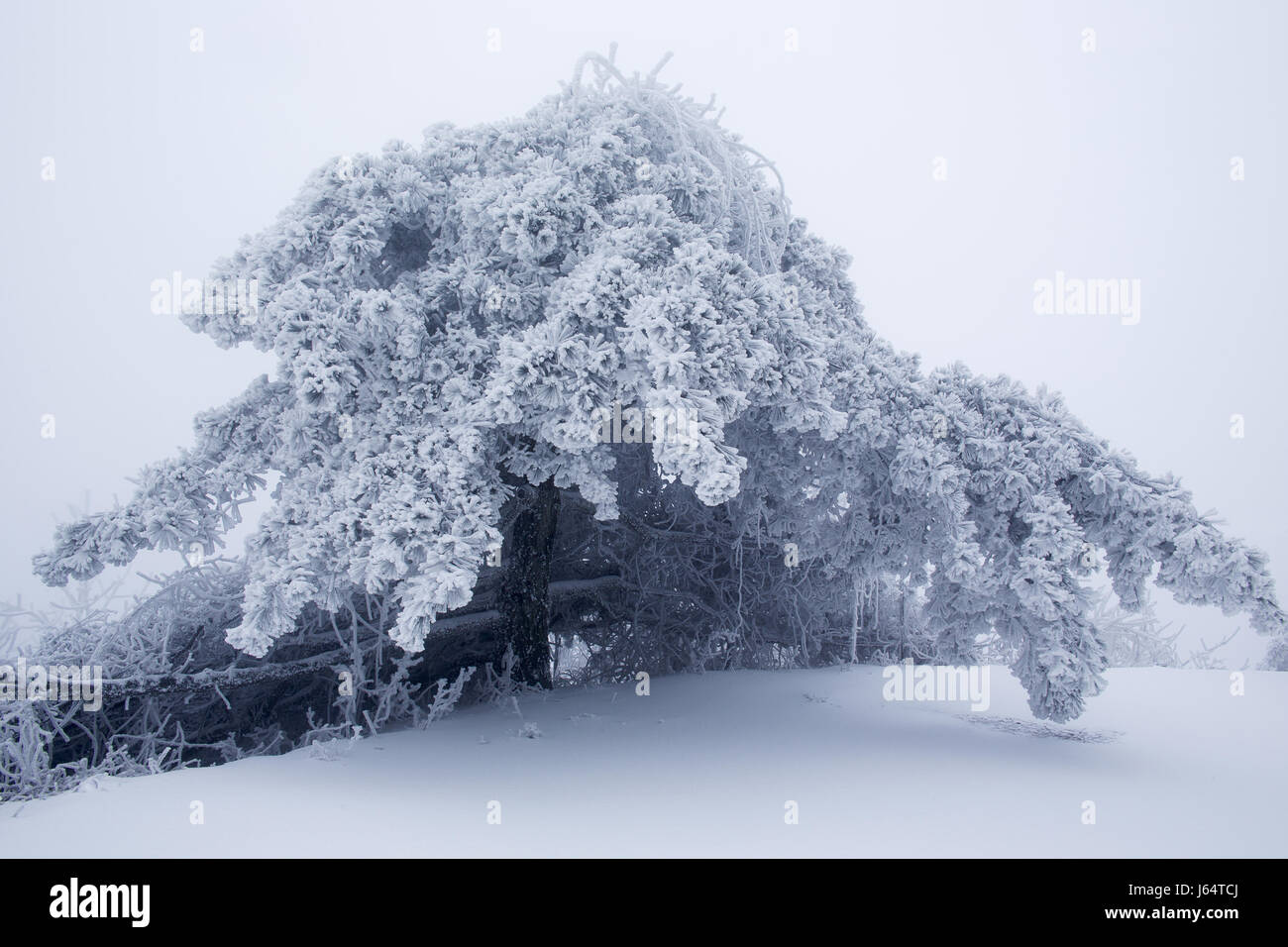 Heng Mountain snow in Hengyang,Hunan province,China Stock Photo - Alamy