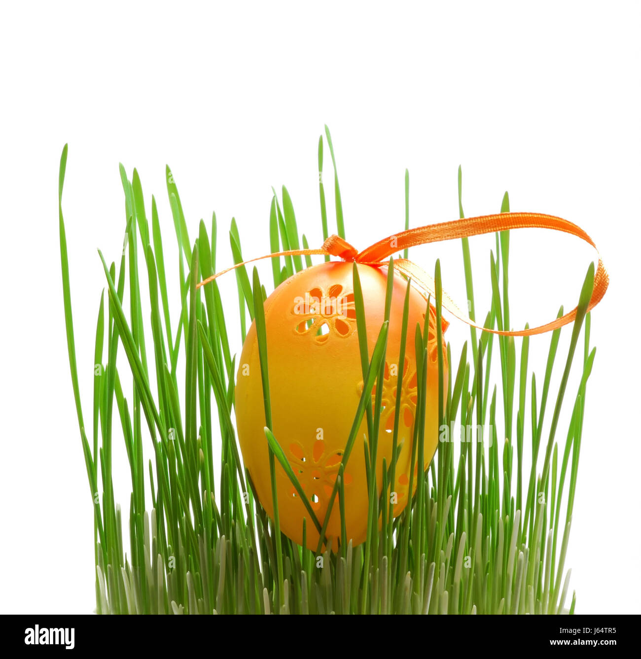 easter egg eggs greeting environment enviroment culture isolated garden ...