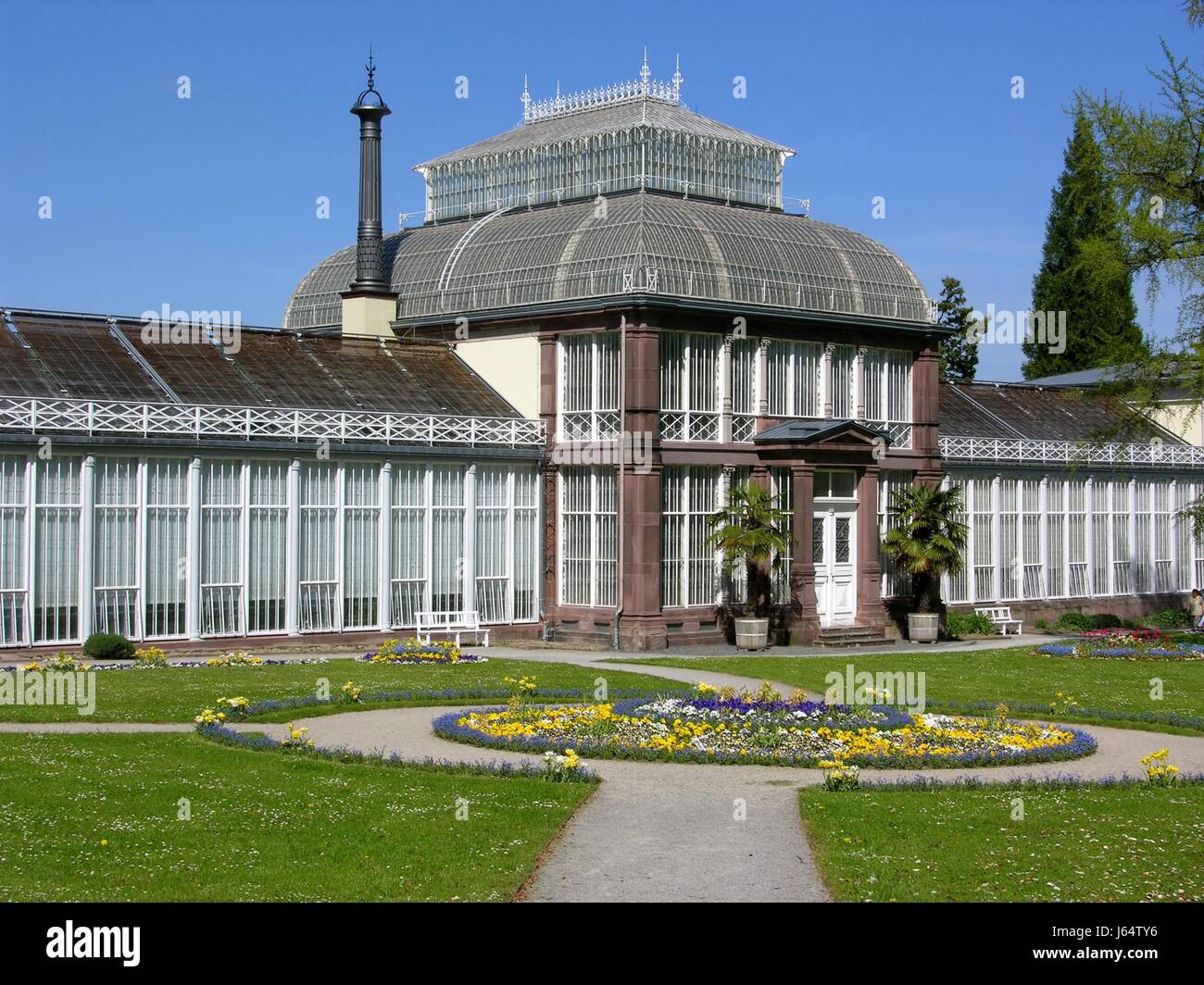 historical tree palm tree style of construction architecture ...