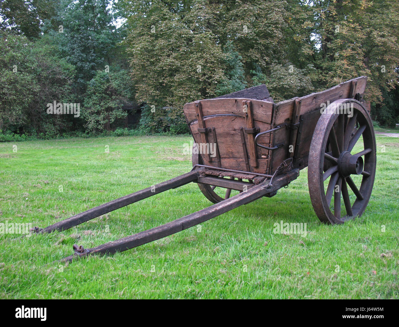 wood antique coach cart old story tree trees green brown brownish ...