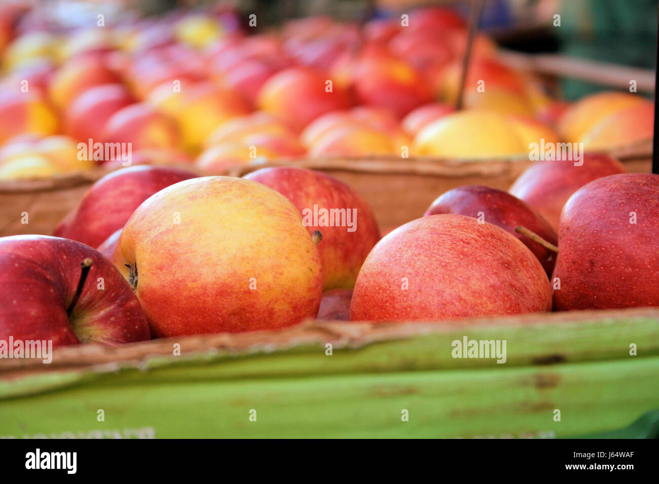 fruit apples apple weekly market marketplace flea market red yellow ...