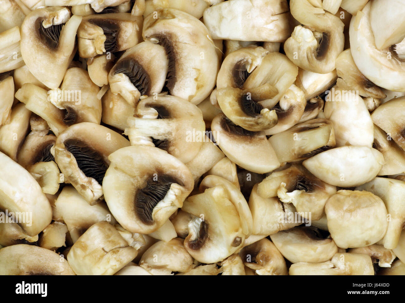 food aliment vegetable mushroom fungus cook eating eat eats plant macro ...