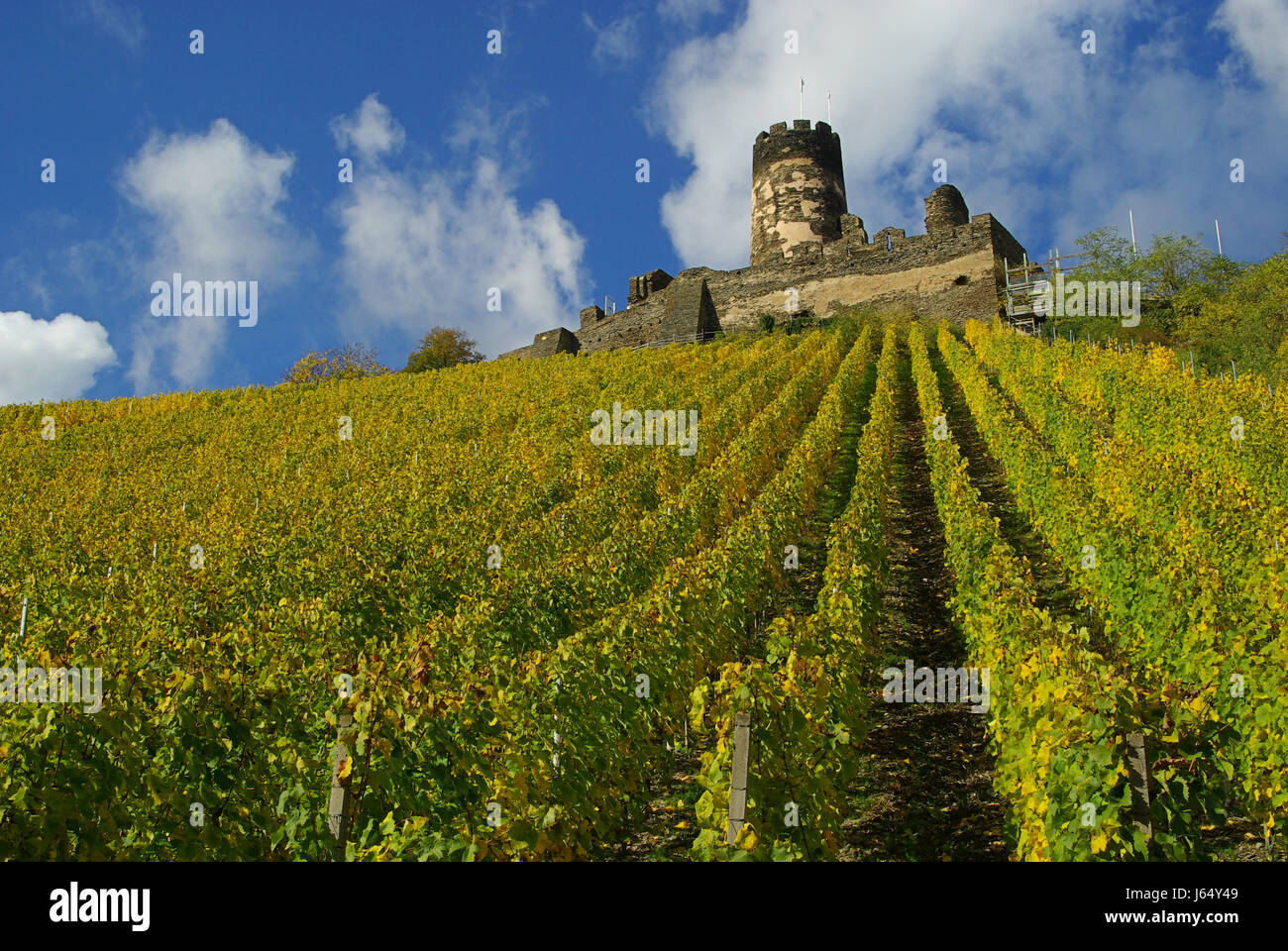 Fuerstenberg hi-res stock photography and images - Alamy