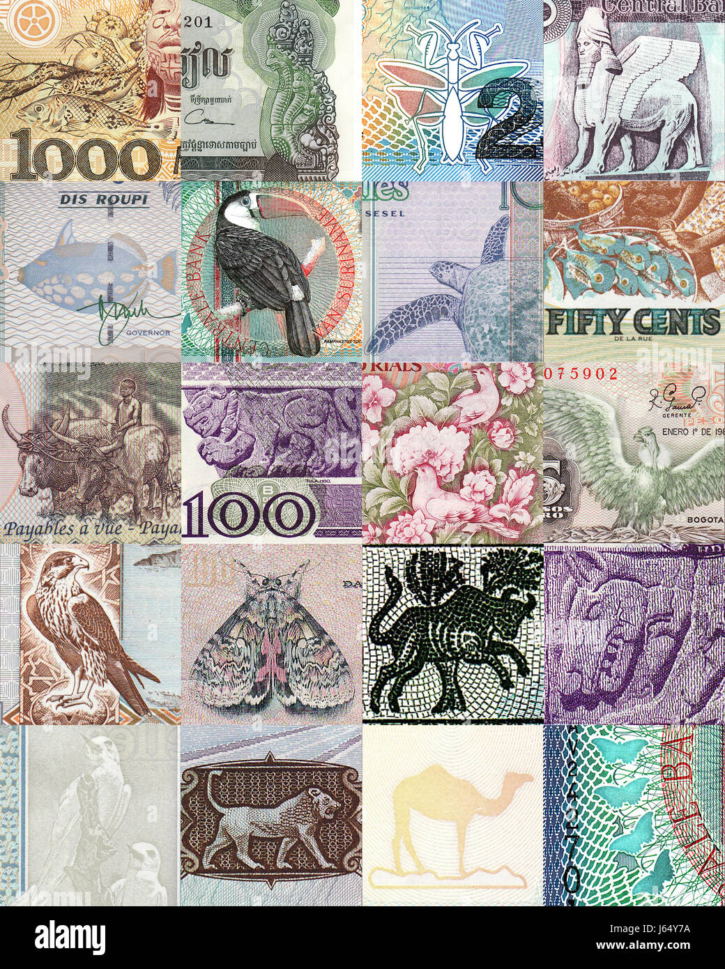 Money with animals hi-res stock photography and images - Alamy