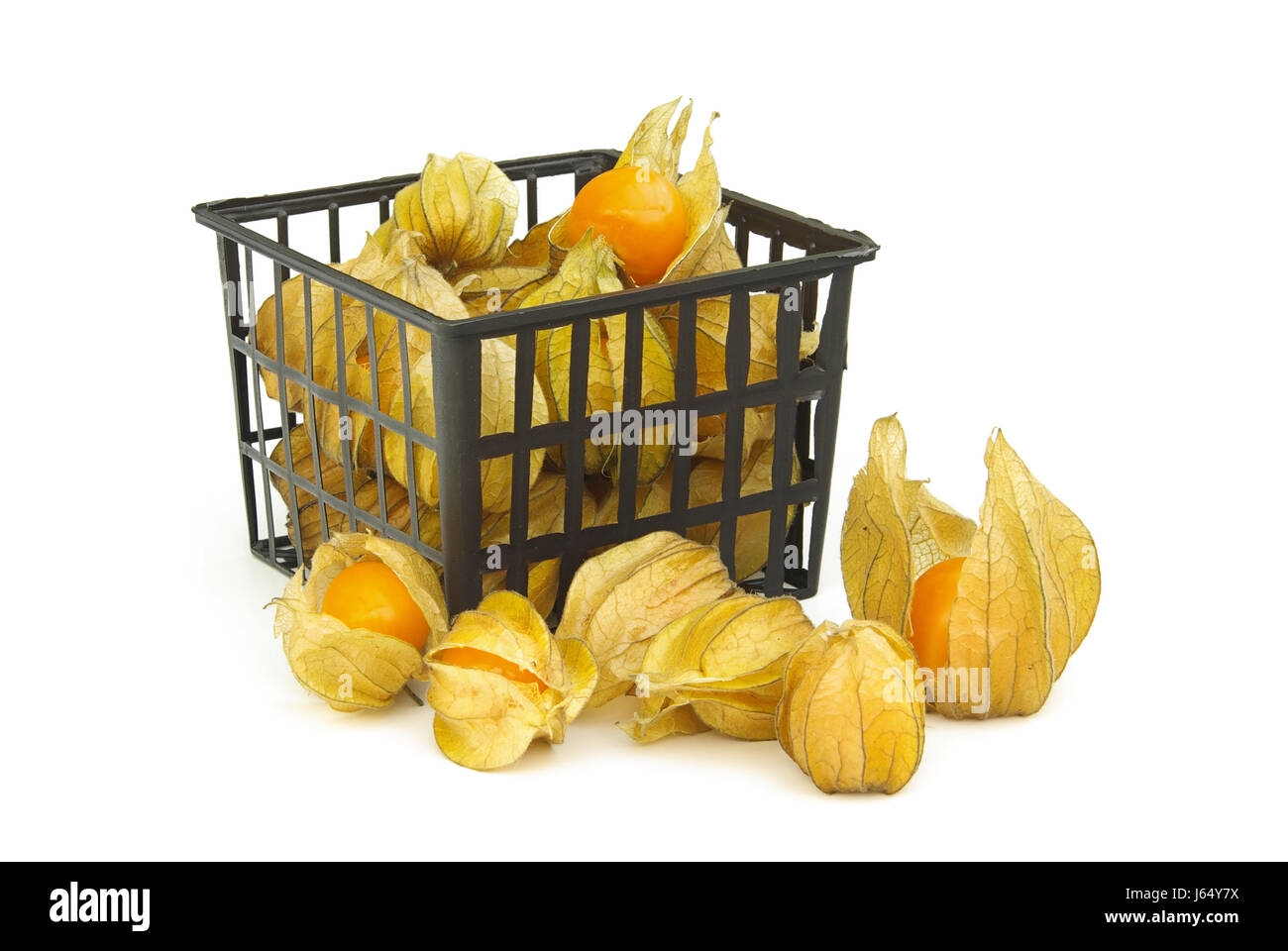 02 Cut Out Stock Images & Pictures - Alamy