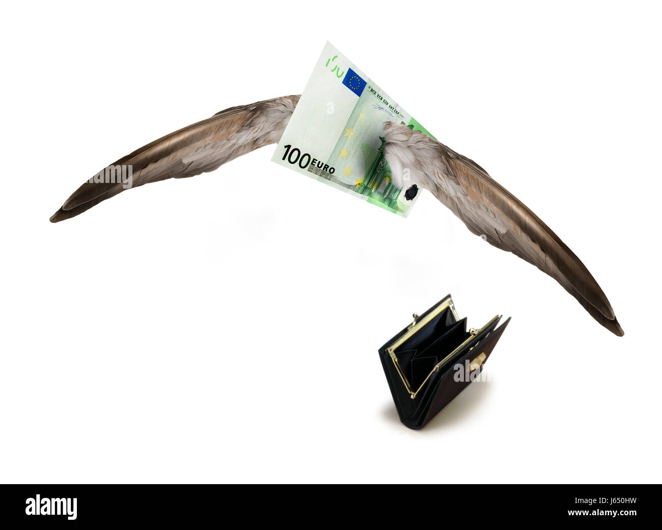 currency euro empty away purse wallet moneybag pocketbook fly flies ...