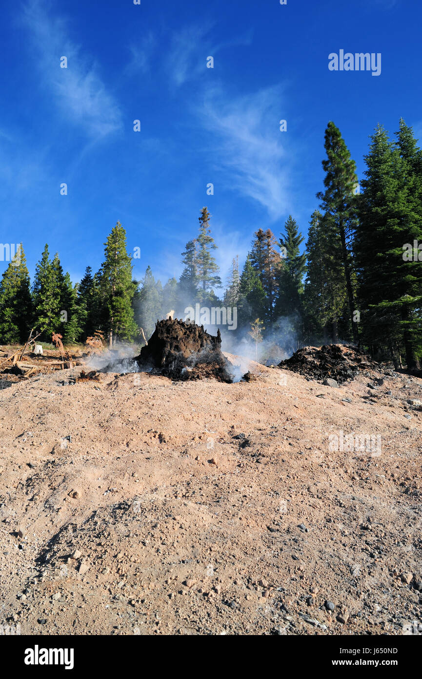 smoke smoking smokes fume danger tree heat fire conflagration burning ...