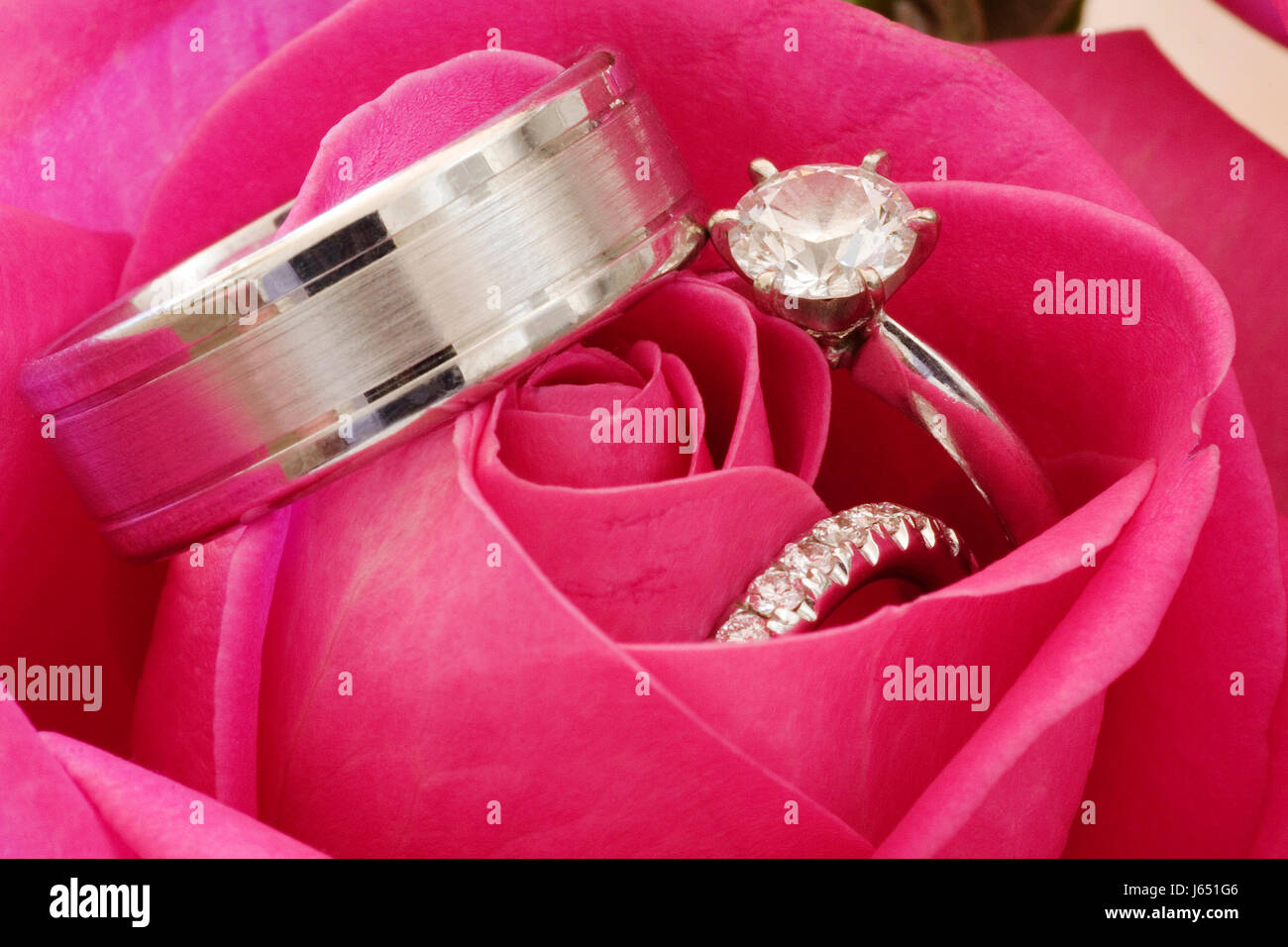 ring flower rose plant wedding marriage marriage ceremony wedding ...