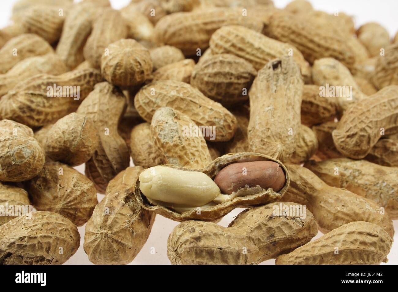 peanuts bowl useful plant fruit nuts peanuts nicholas south america ...