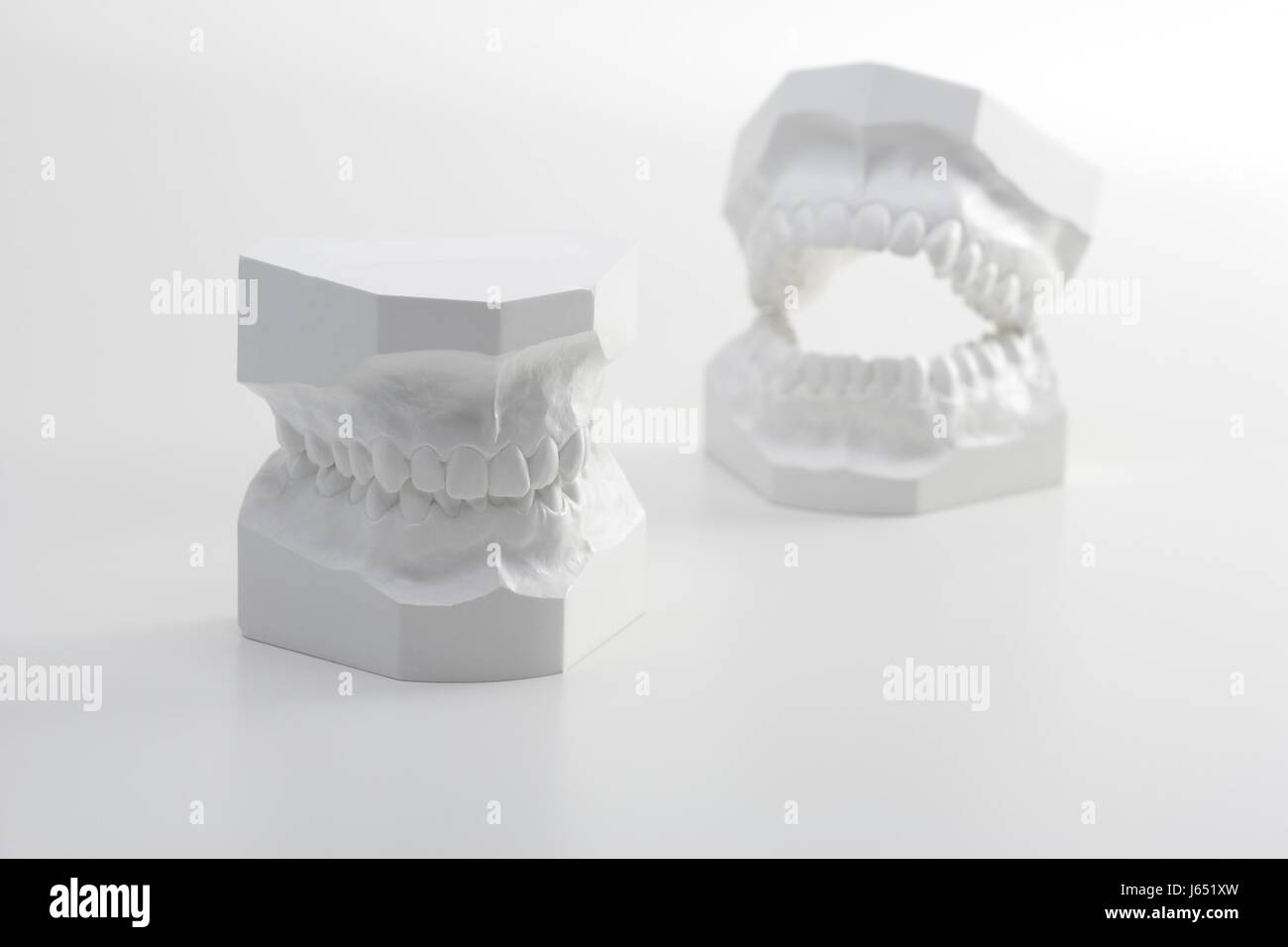 teeth tooth denture suspenders braces science teeth tooth hygiene bite ...