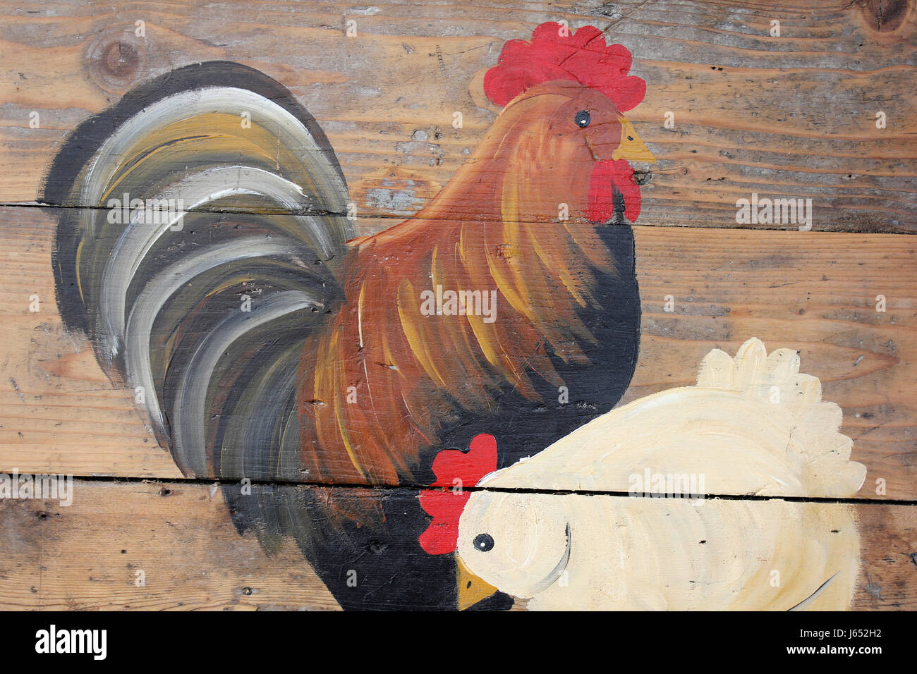 Horizontal rooster hi-res stock photography and images - Alamy