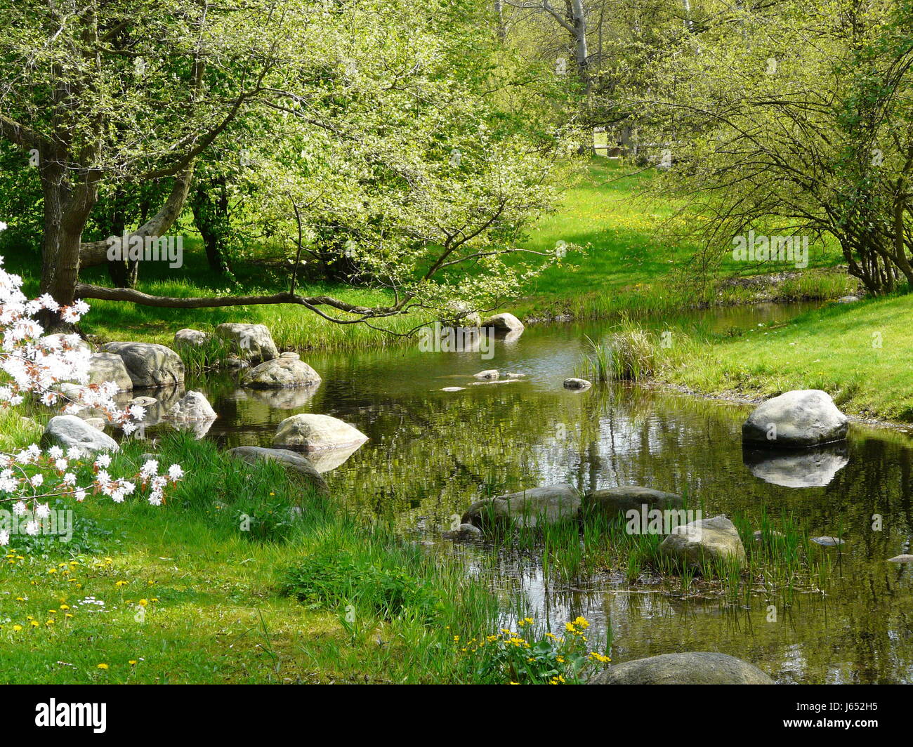 tree trees waters green stream spring meadow nature tree trees waters ...