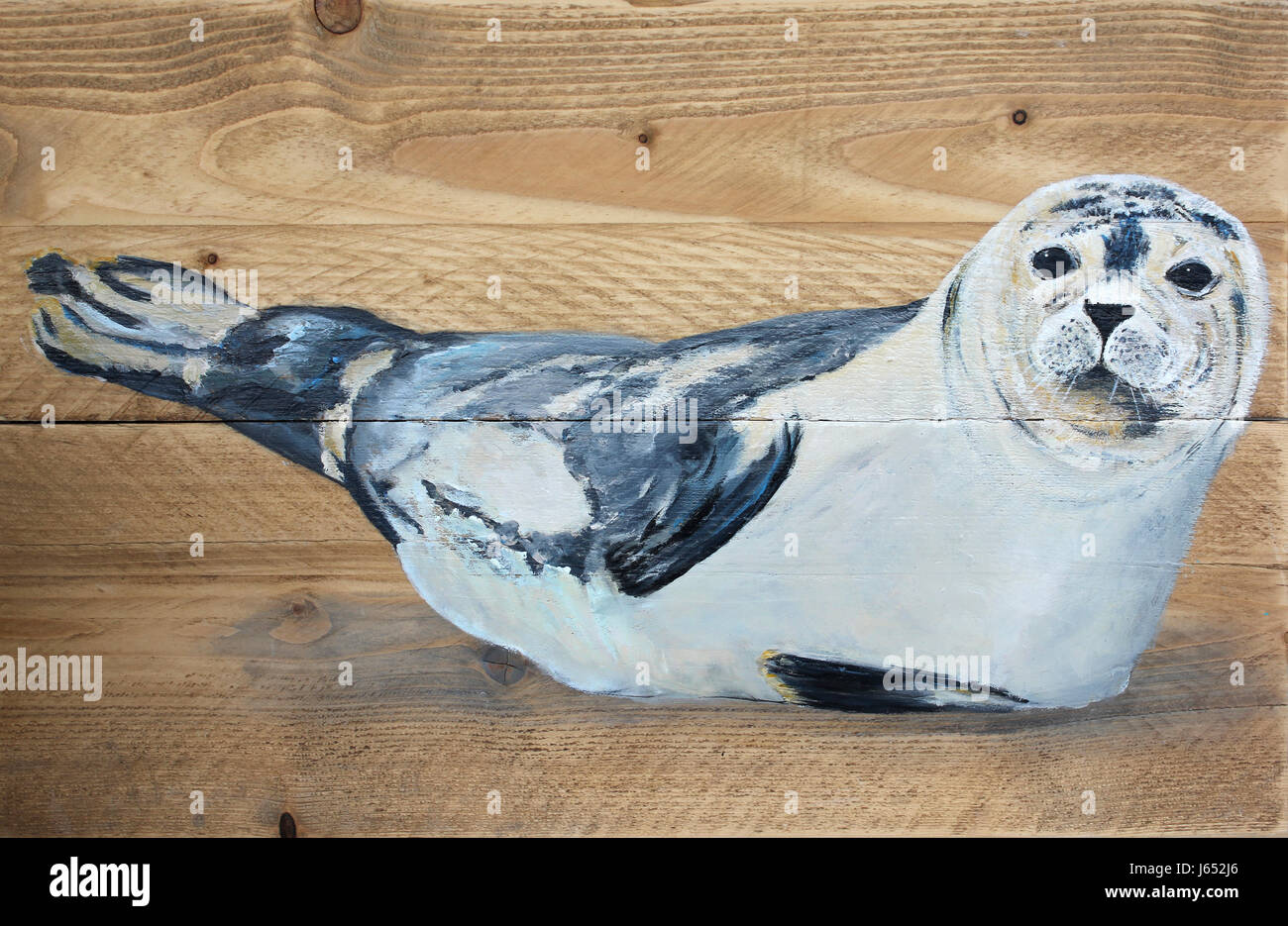 Texel Seal Painting Stock Photo - Alamy