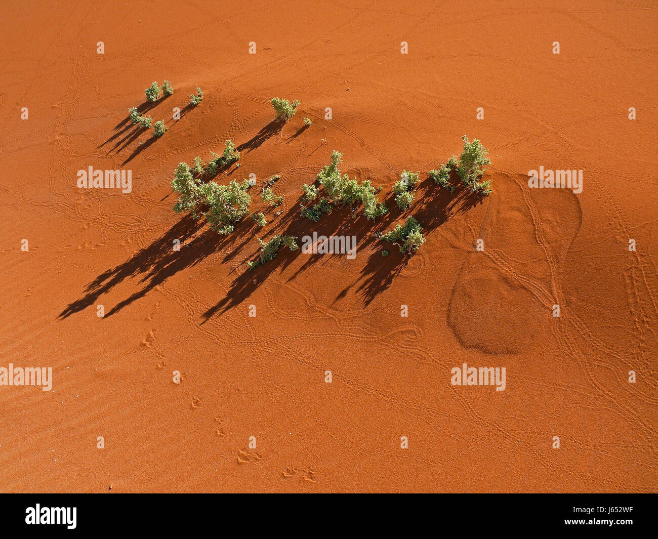 tracks in the desert Stock Photo - Alamy