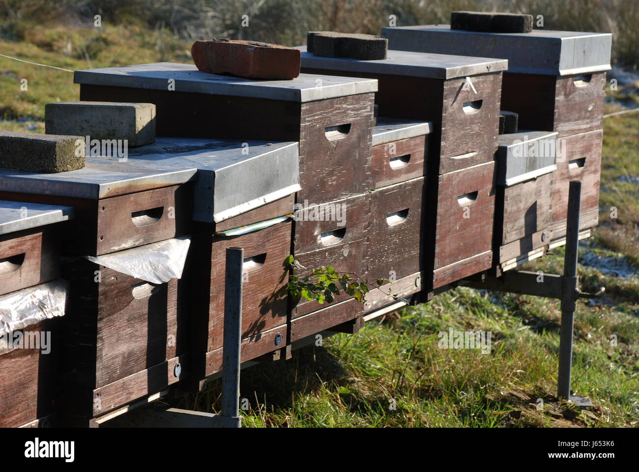 bees hives agriculture farming bees box made of wood hives imkerei ...