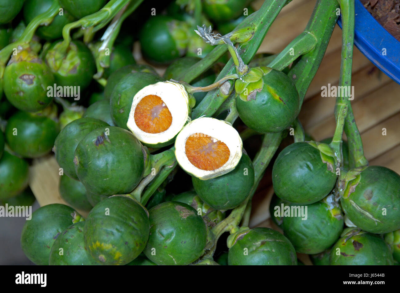 thailand nuts tree asia asiatic fruit branch thailand nuts food dish ...