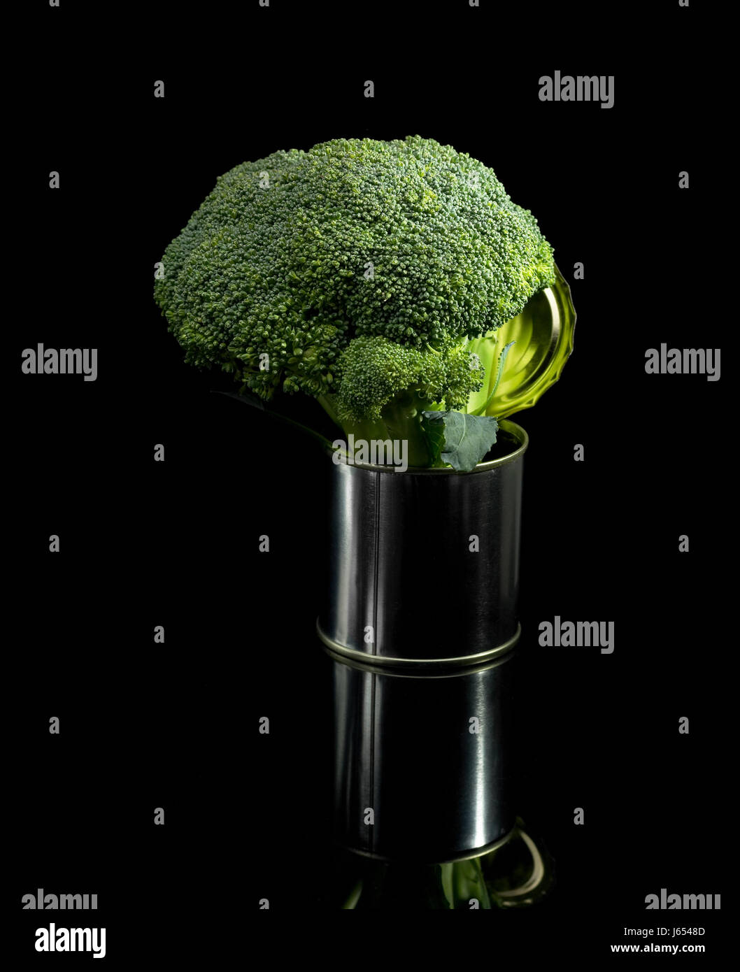 close agriculture farming vegetable backgrounds broccoli backdrop ...