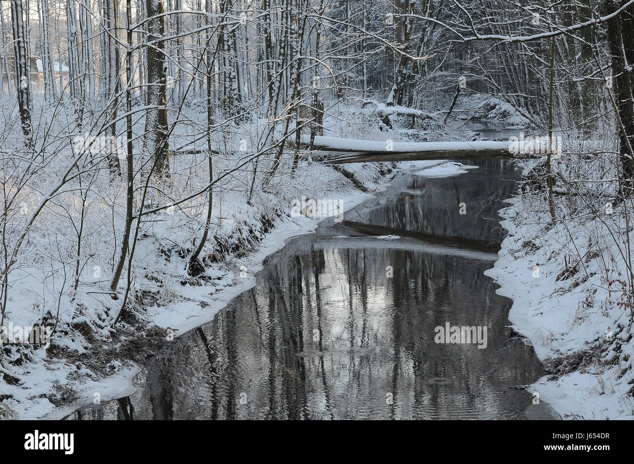 waters winter trunk stream scenery countryside nature tree trees waters ...