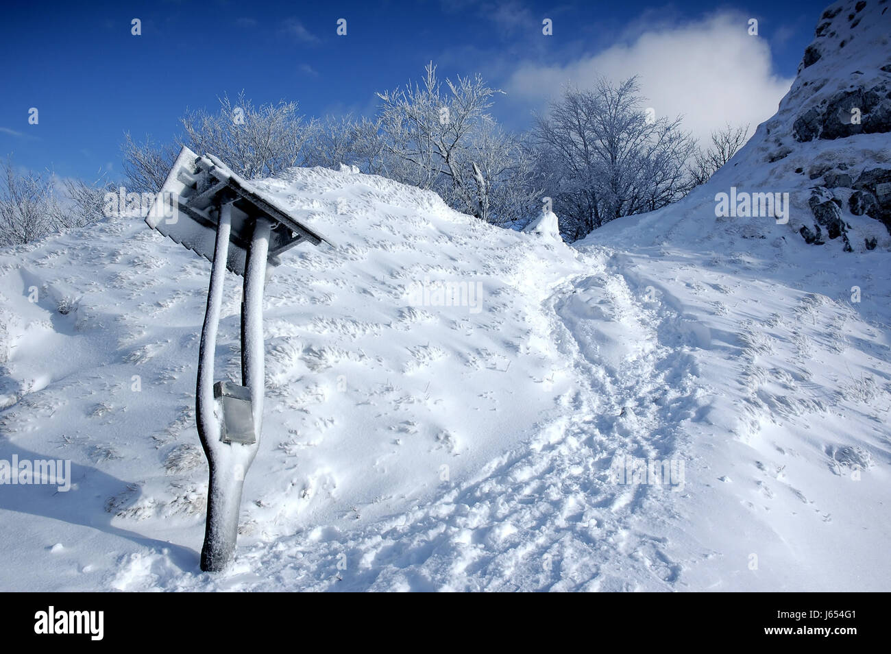 slovakia covered landscape scenery countryside nature tree trees park ...