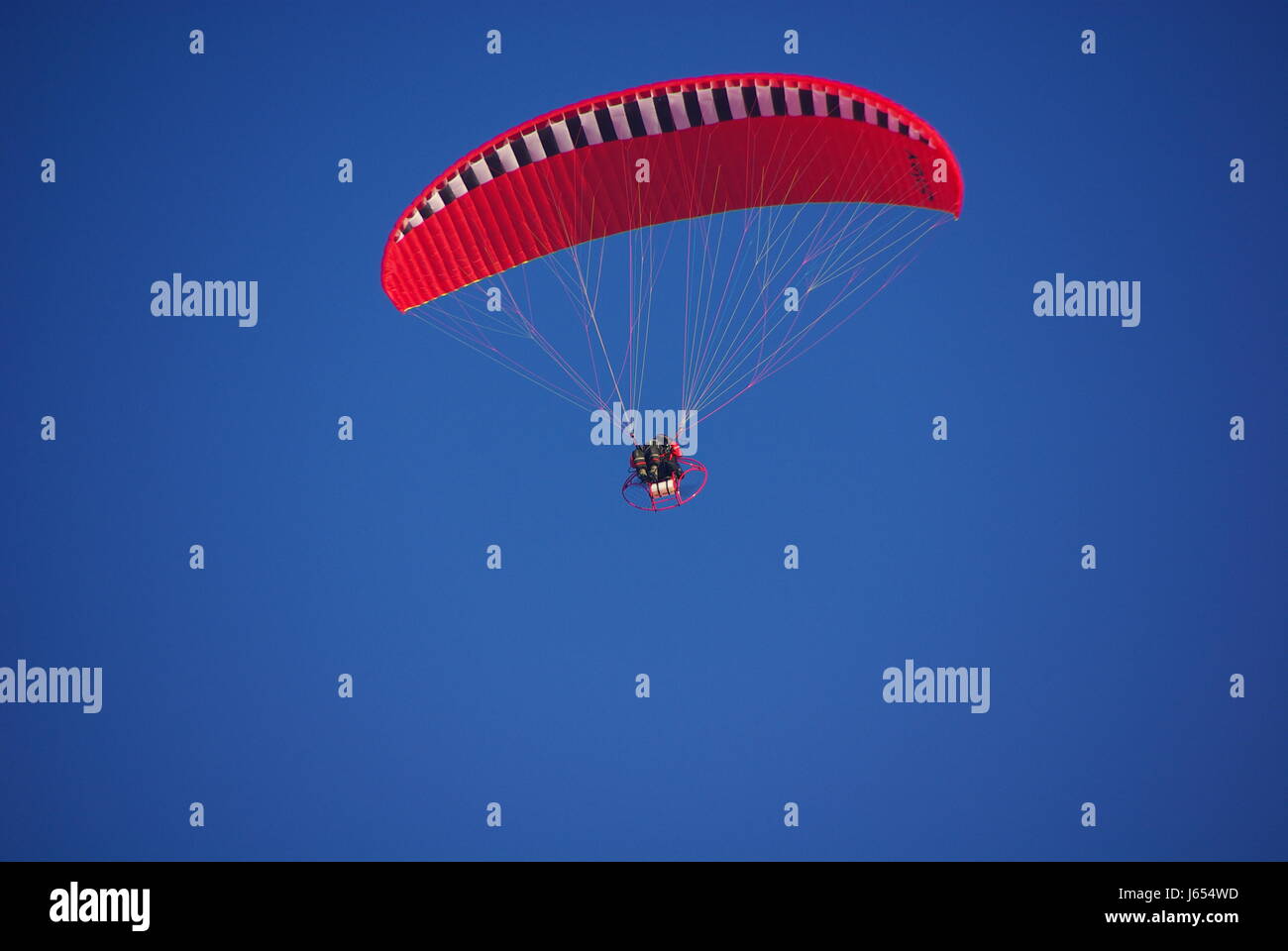 engine drive motor freedom liberty hobby paraglider engine drive motor ...