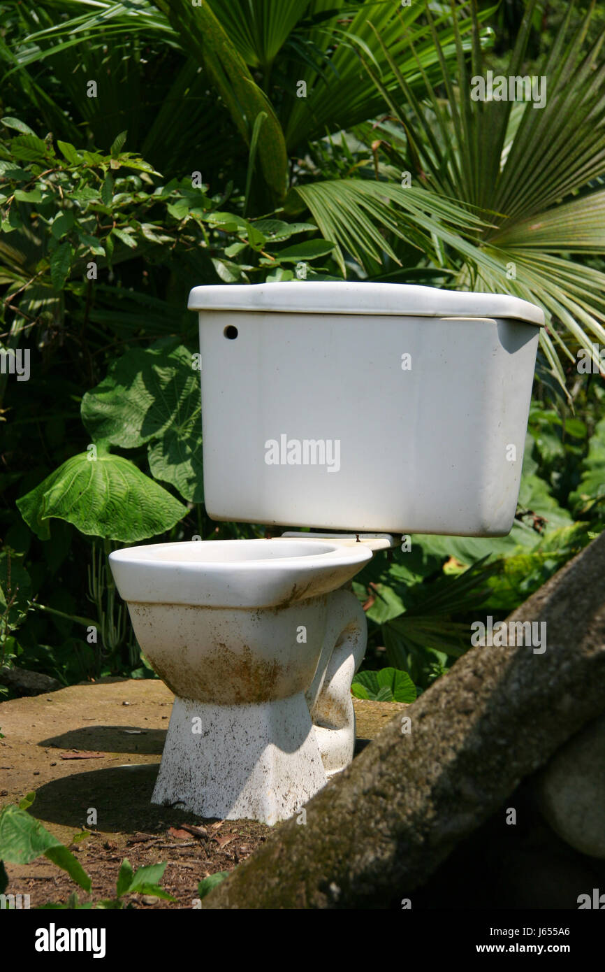 south america ecuador squandering waste traveling rainforest rain ...