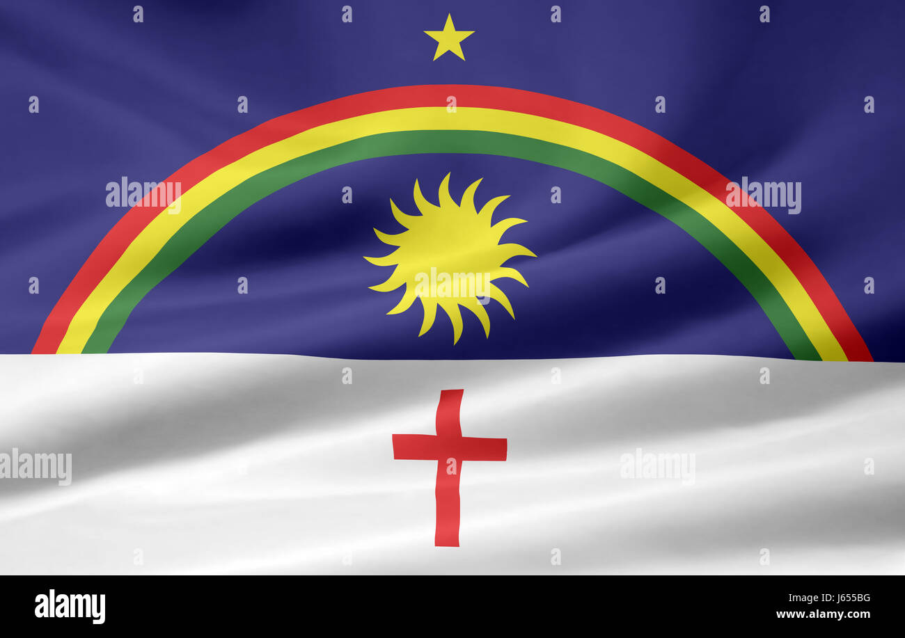 flag brazil motion postponement moving movement graphic illustration ...