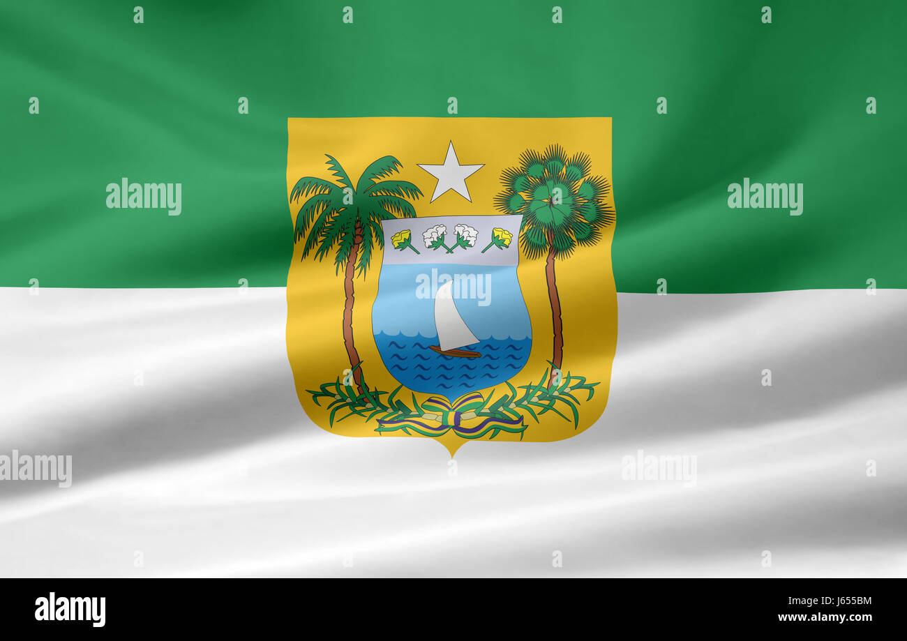 flag brazil magnifico motion postponement moving movement graphic ...