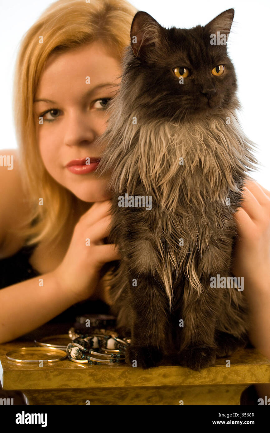 woman smooch persian pussycat cat domestic cat blond cuddling persians ...
