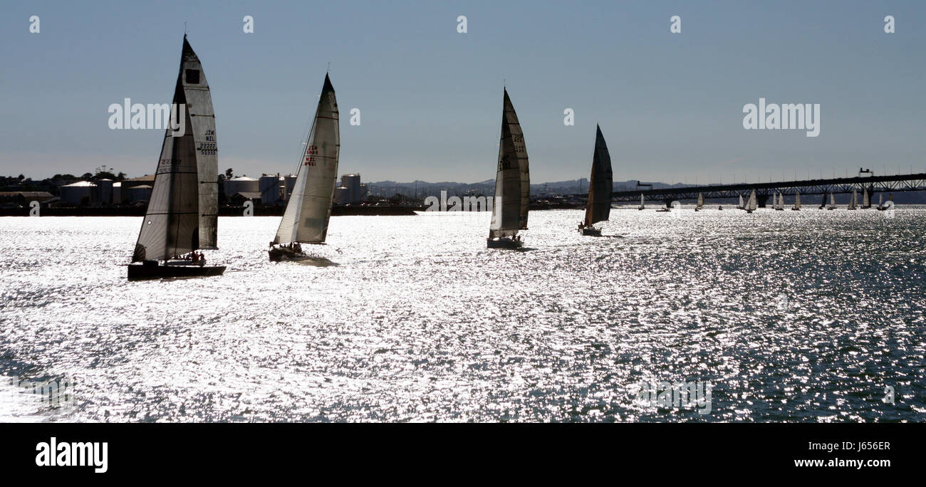sail yacht sailing boats regatta salt water sea ocean water rowing boat ...