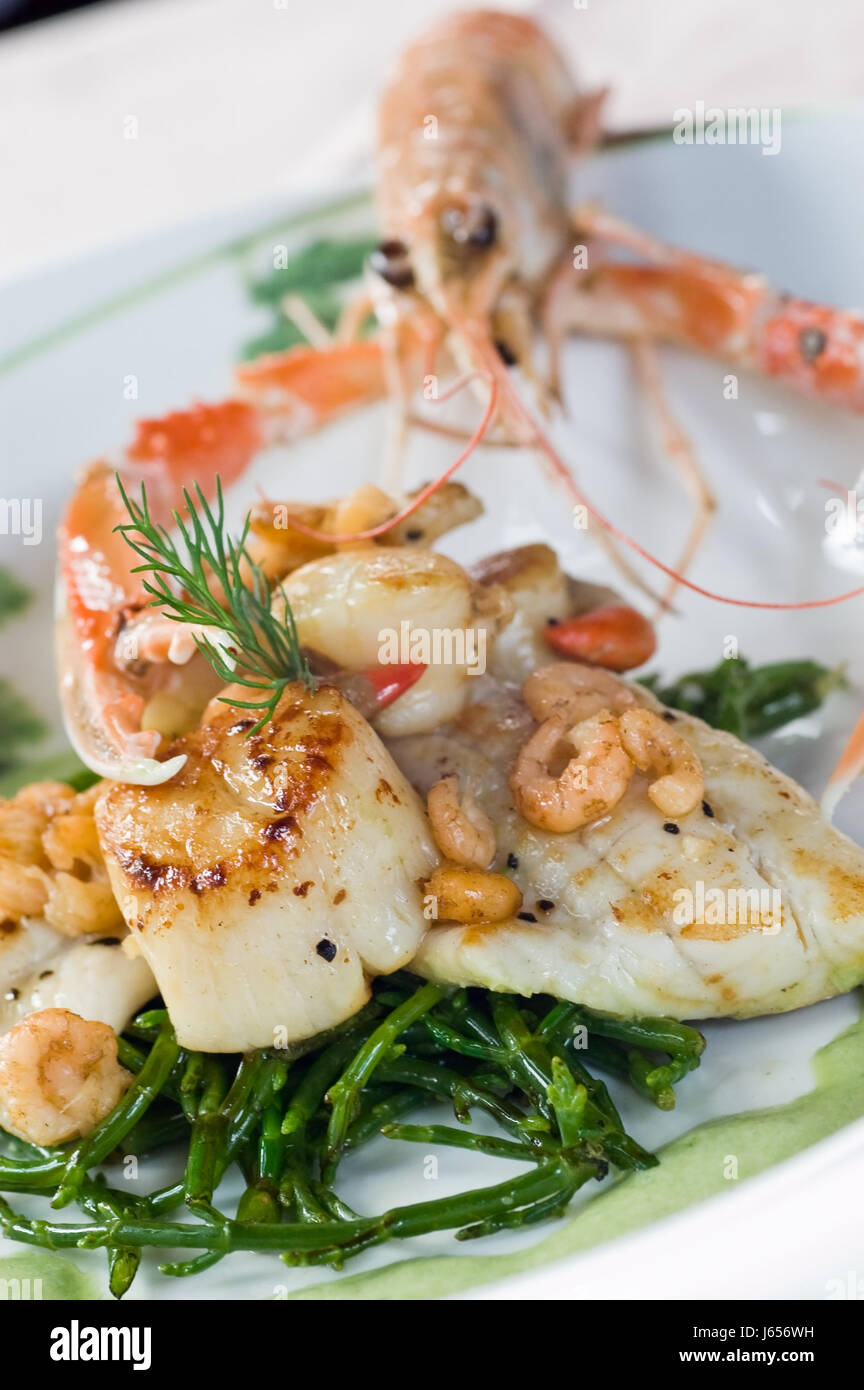 shrimp claws scallops salt coloured colourful gorgeous multifarious ...