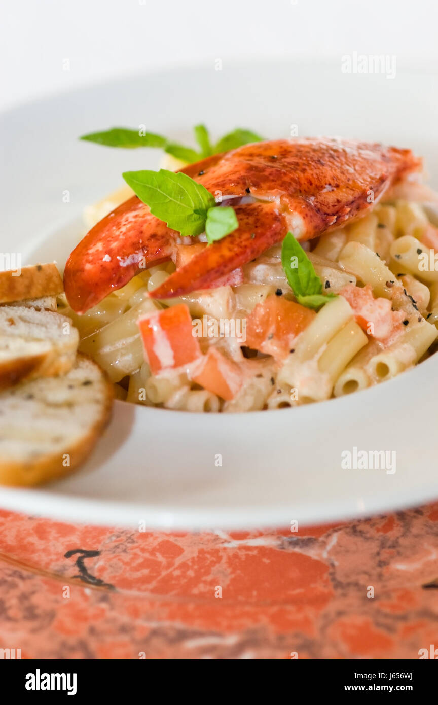 lobster claw shellfish pasta coloured colourful gorgeous multifarious ...