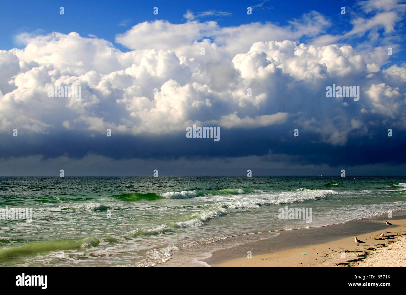 beach seaside the beach seashore front salt water sea ocean water ...