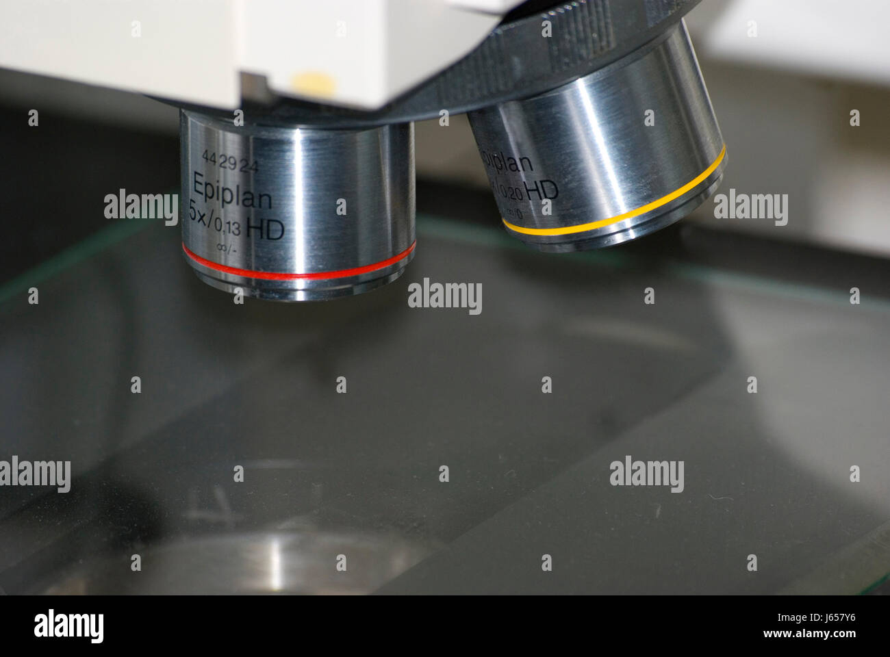 Investigation enlargement hi-res stock photography and images - Alamy