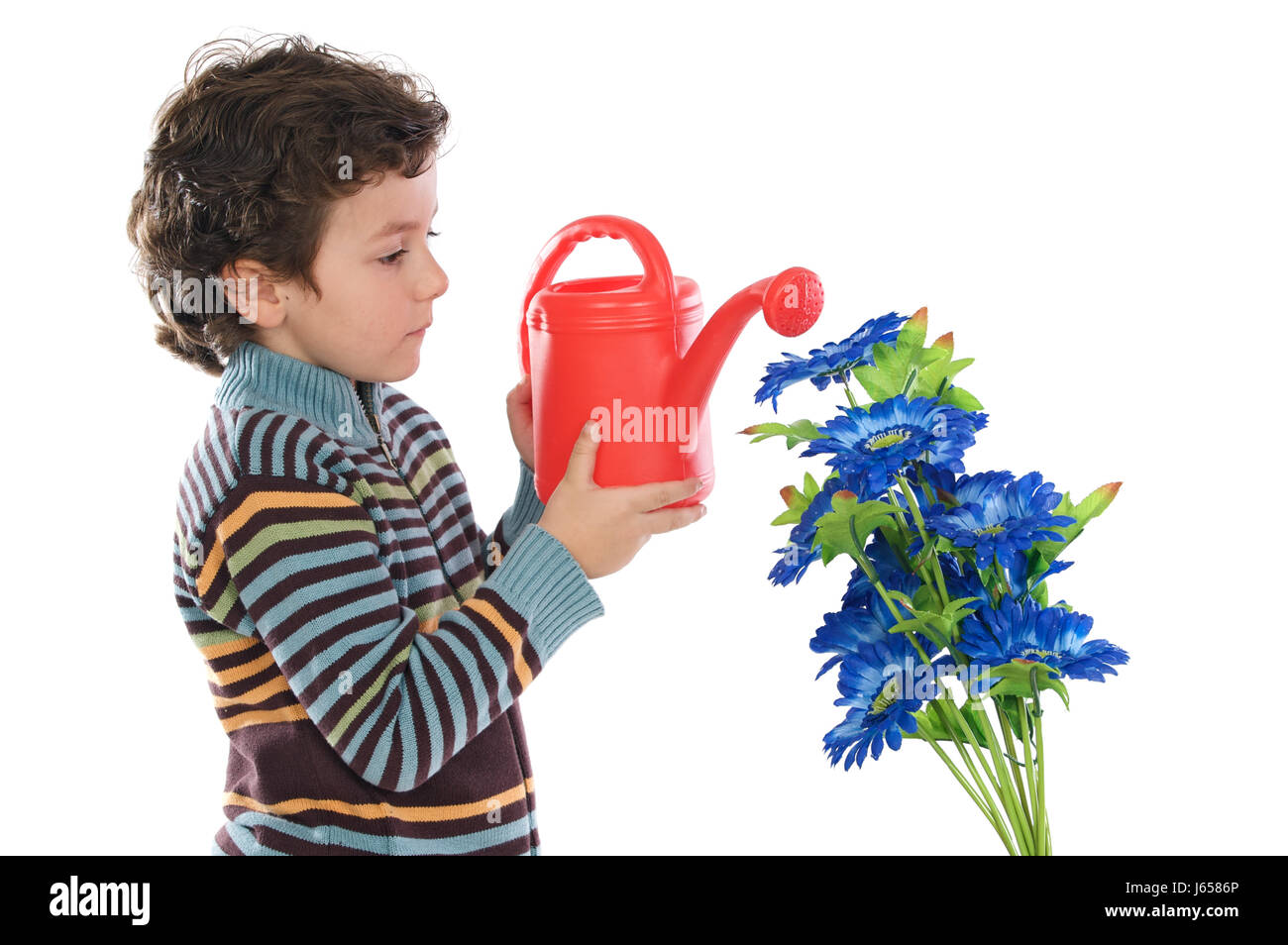 flower plant boy lad male youngster humans human beings people folk ...