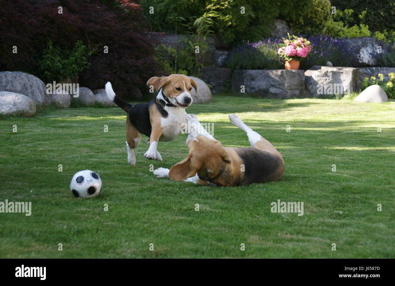 Grtsche hi-res stock photography and images - Alamy