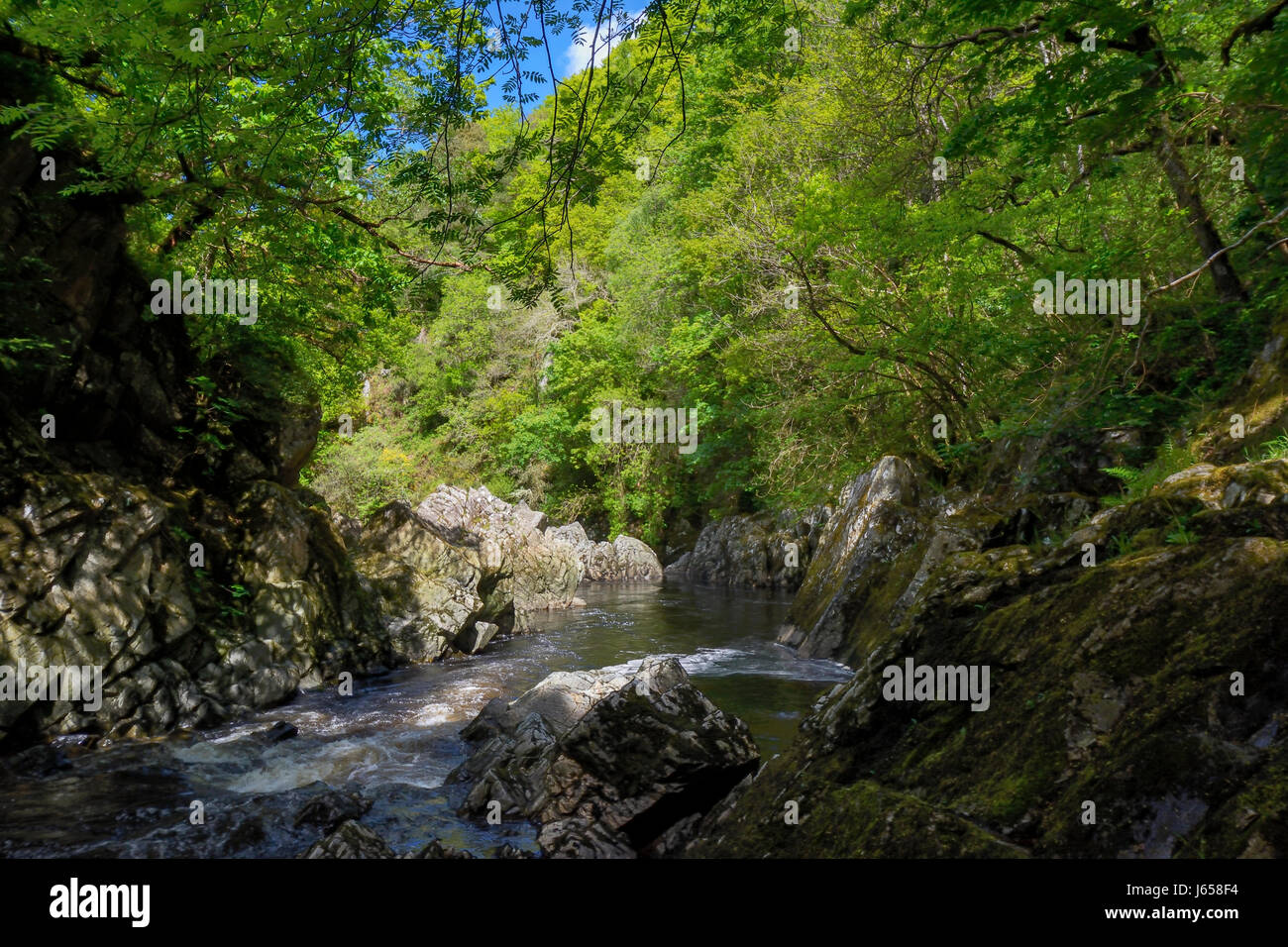 Afon Conwy flowing through the gorge below the Conway Falls. From its ...