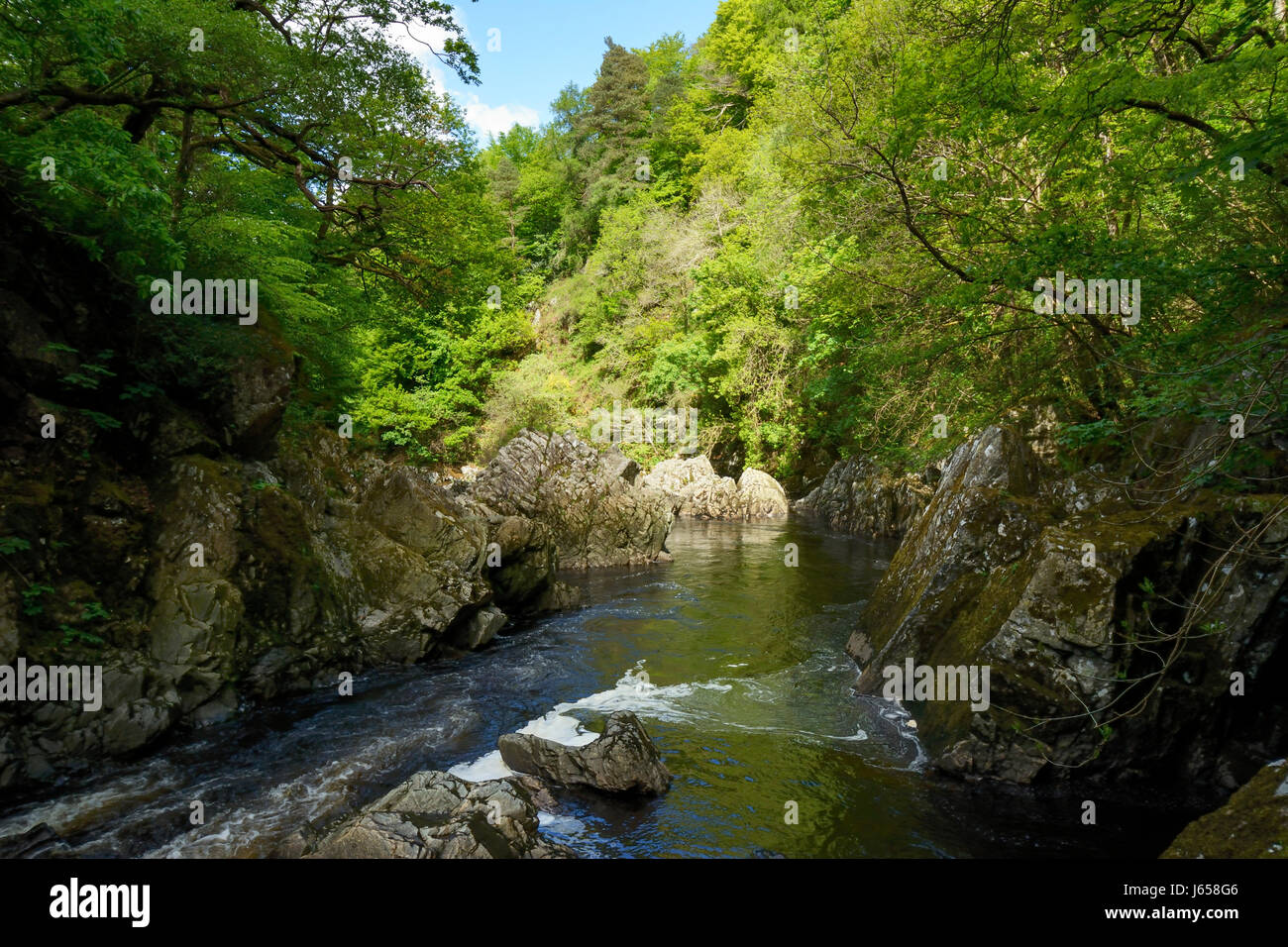 Afon Conwy flowing through the gorge below the Conway Falls. From its ...