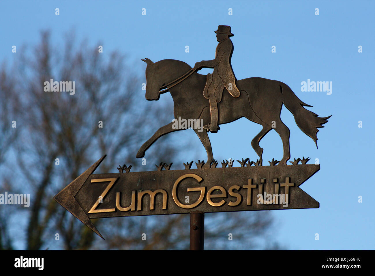 sign signal horse horses rider equestrian horse breeding sign signal ...