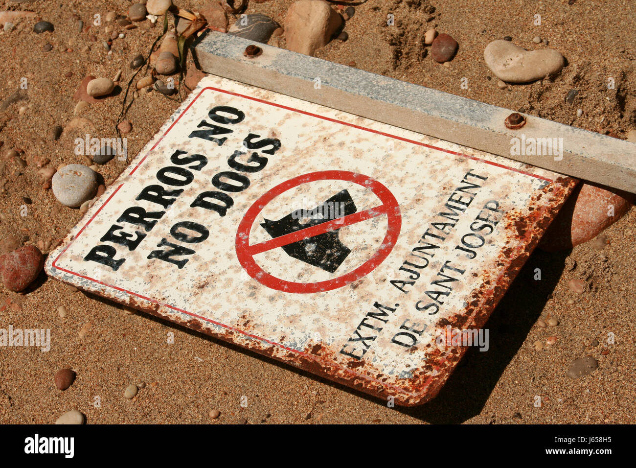 dog prohibition sign Stock Photo - Alamy