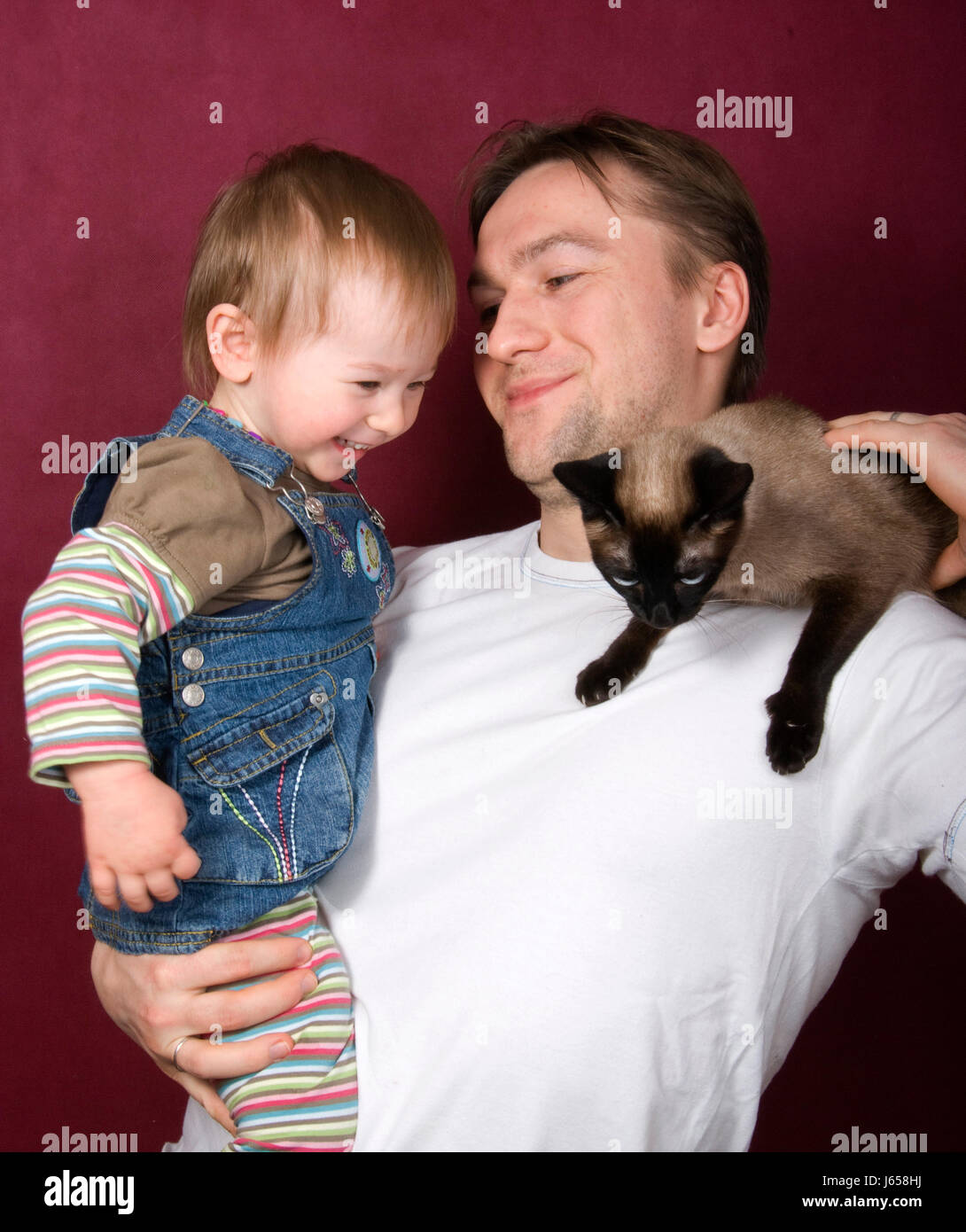 pussycat cat domestic cat daugther daughter father daddy dad beautiful ...
