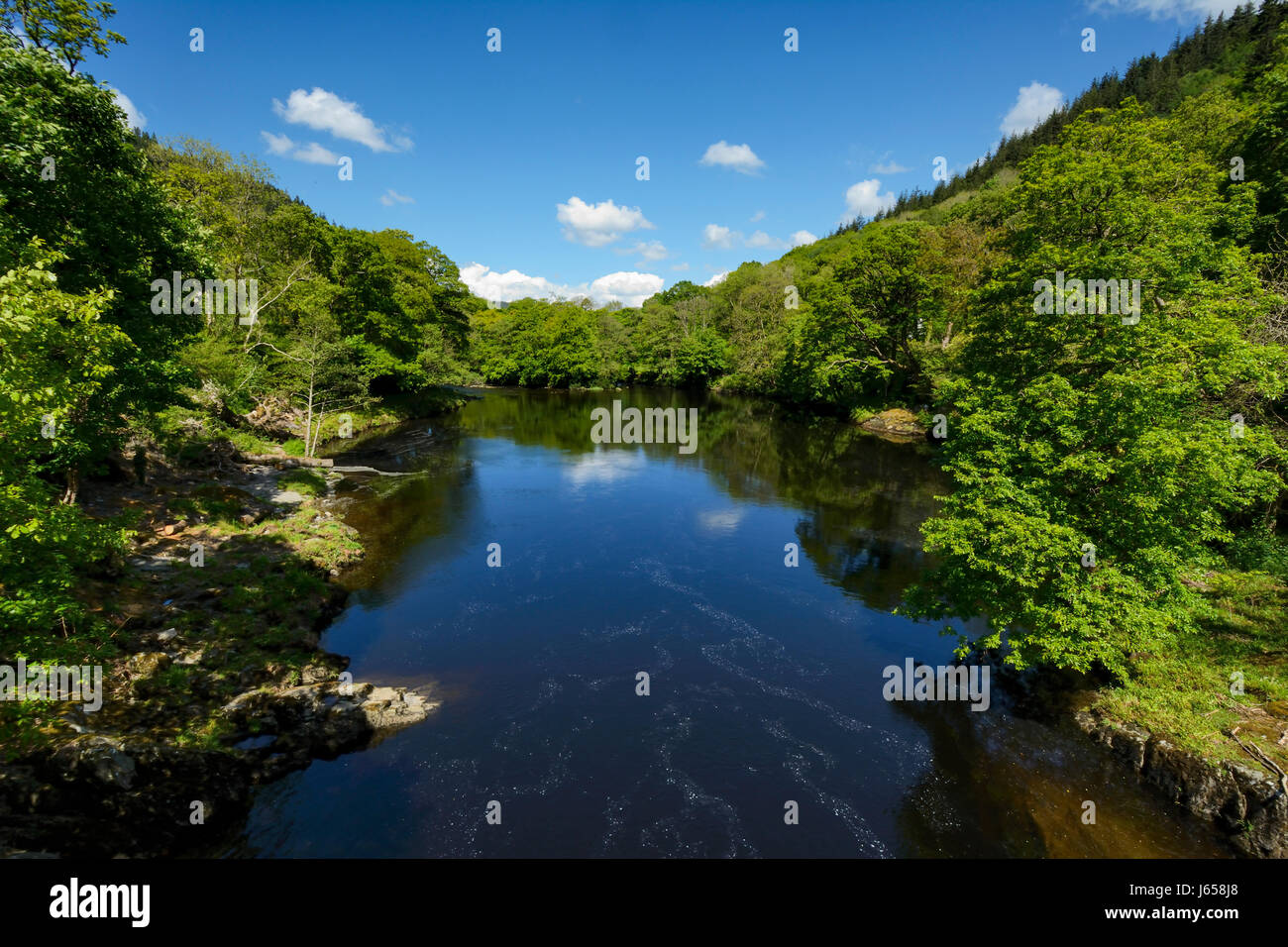 Sedately hi-res stock photography and images - Alamy