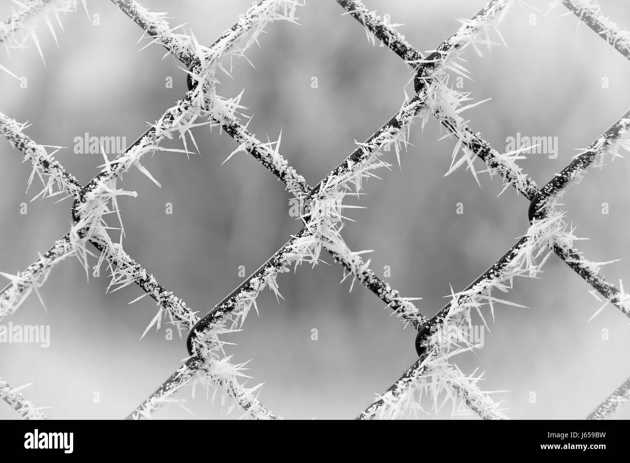 Chain link netting Black and White Stock Photos & Images - Alamy