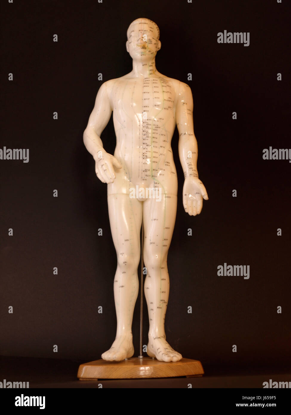 acupuncture model male Stock Photo - Alamy