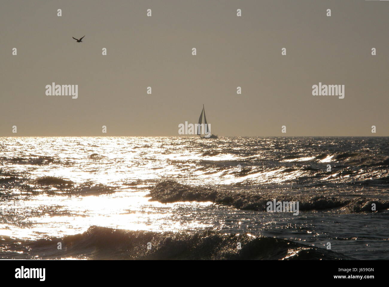 sunset reflection sail sailing ship sailing boat sailboat rowing boat ...