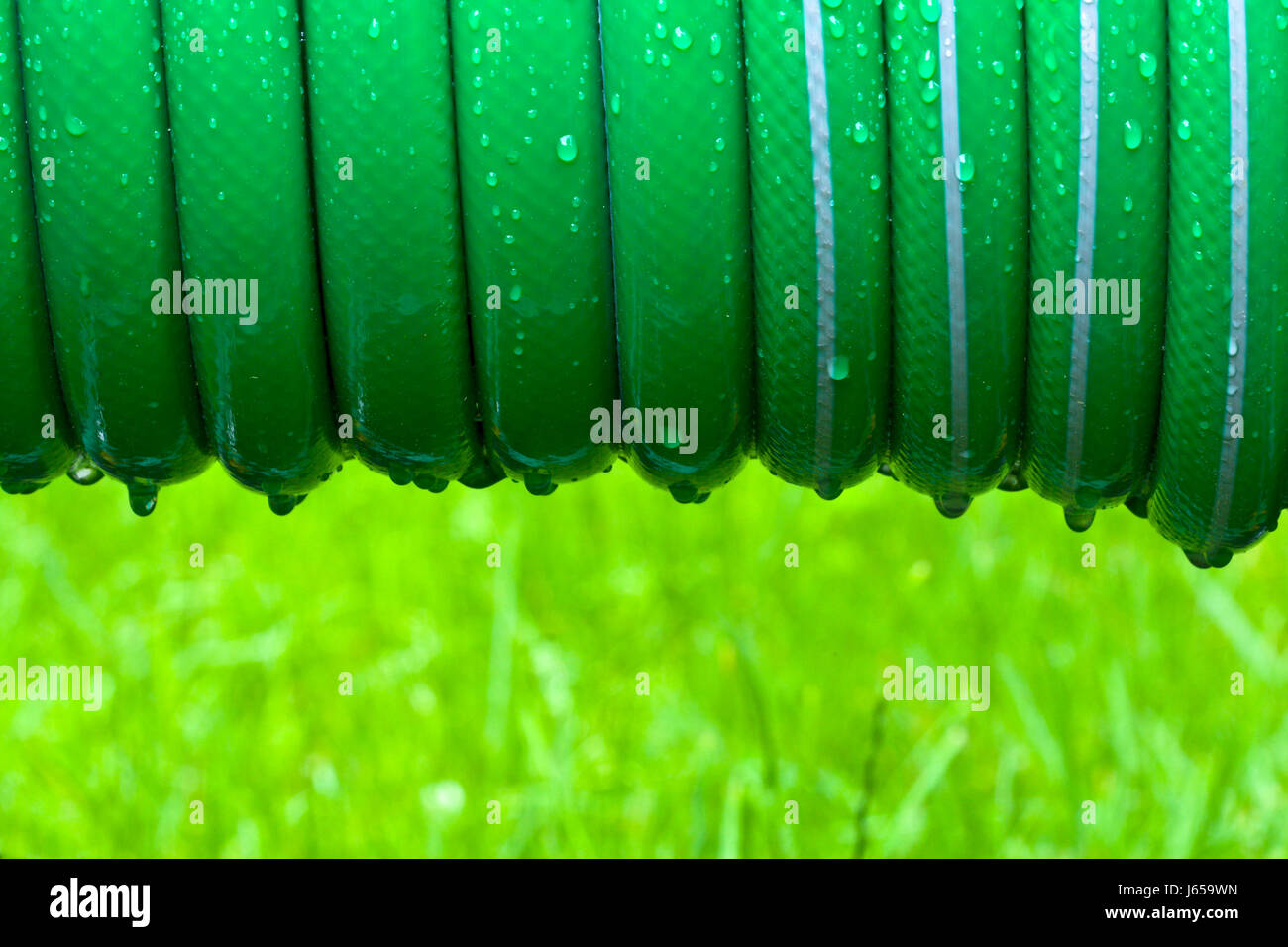 garden drop drip hose dripping lawn green water drops seeping sopping ...