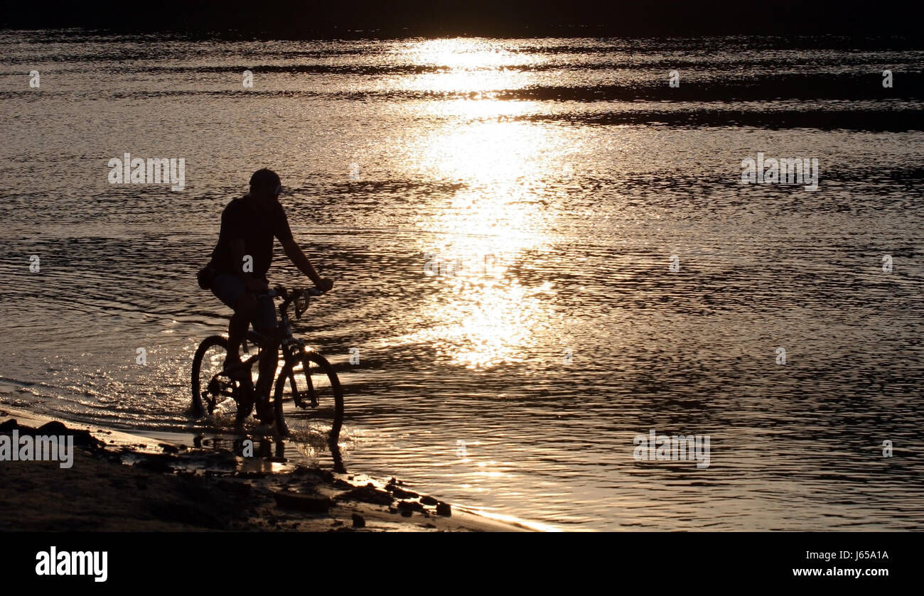 humans human beings people folk persons human human being sunset beach ...