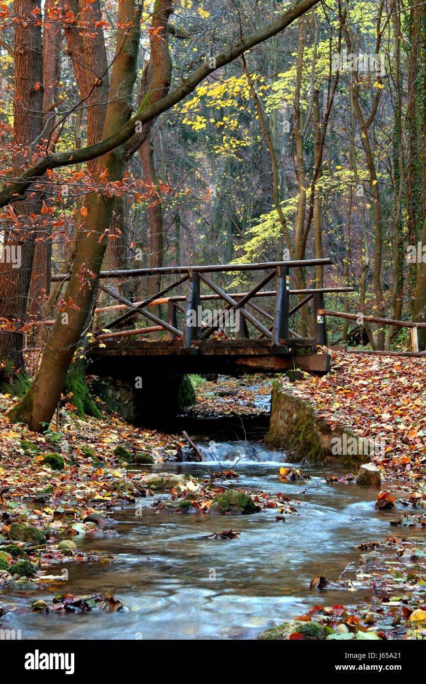 bridge season landscape scenery countryside nature forest fall autumn ...
