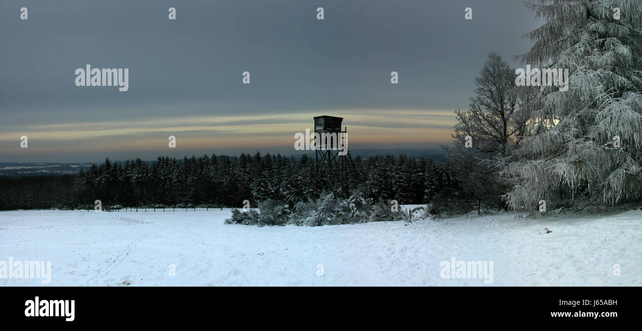 sight view outlook perspective vista panorama lookout tree trees winter ...