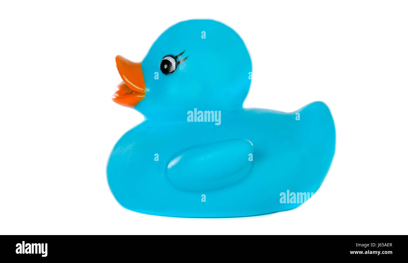blue toy duck plastic synthetic material close blue object macro close ...
