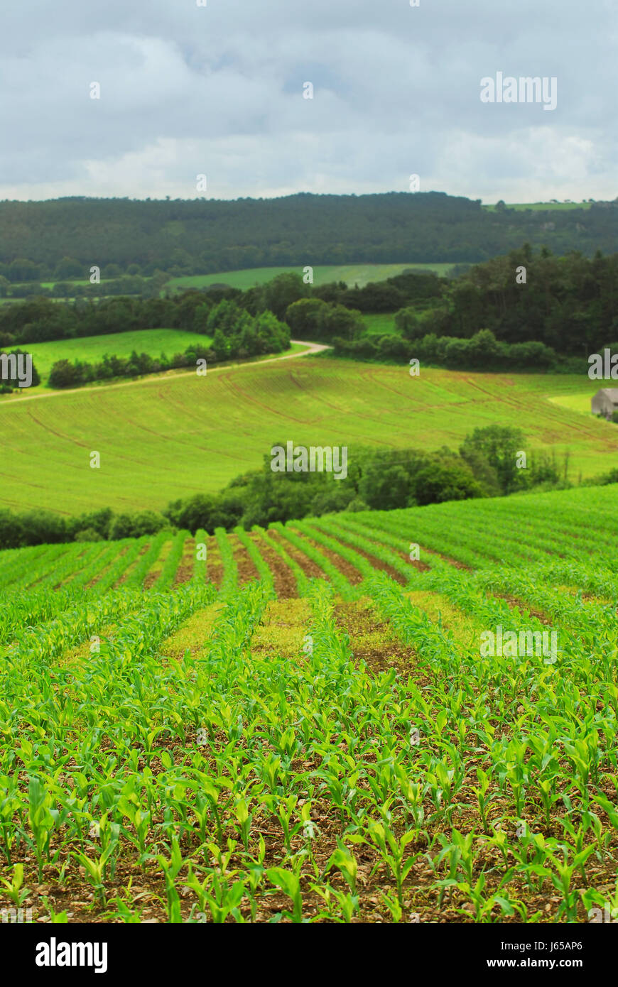 agriculture farming fields farm landscape scenery countryside nature ...